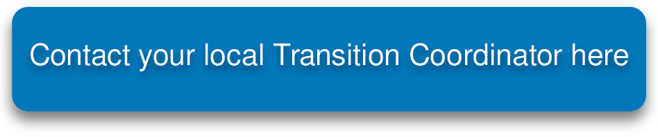Transition Services for Young Adults | Department of Disabilities and Special Needs